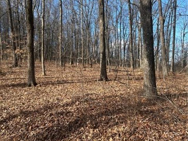 Madison 3605, Kingston, AR 72742