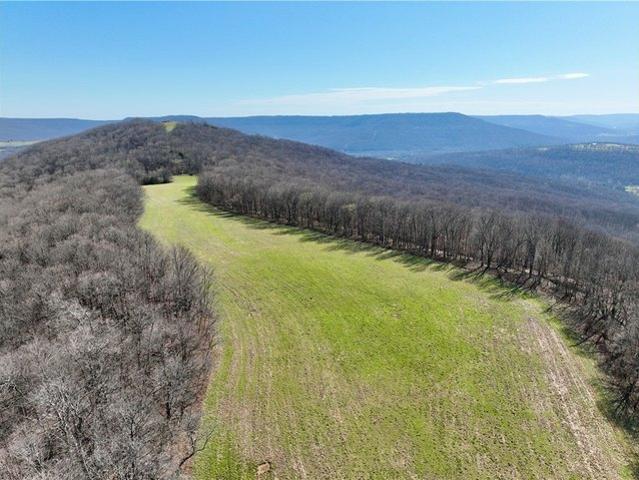 Madison 5450, Elkins, AR 72727