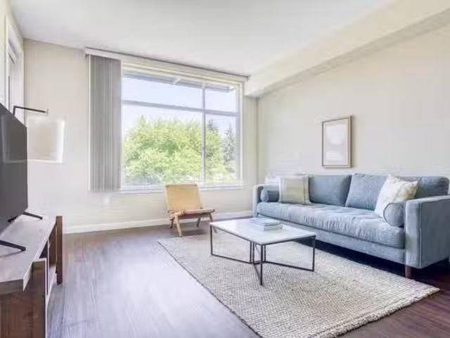 Madrone Apartments, 111 Rengstorff Ave, Mountain View 1 Bedr.