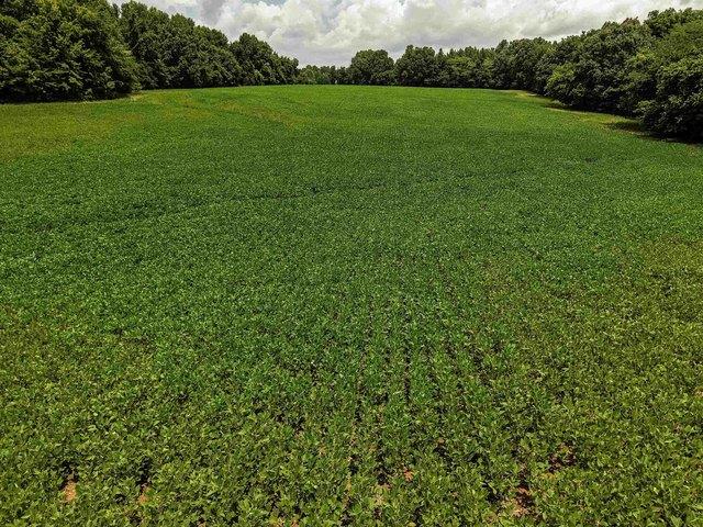 Mae Sigma Rd, Brighton, TN 38011
