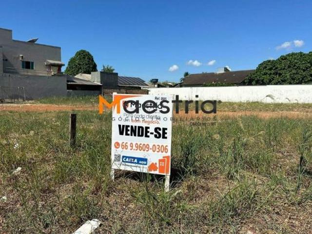 Maestria Sua imobiliária de confiança em Sorriso MT