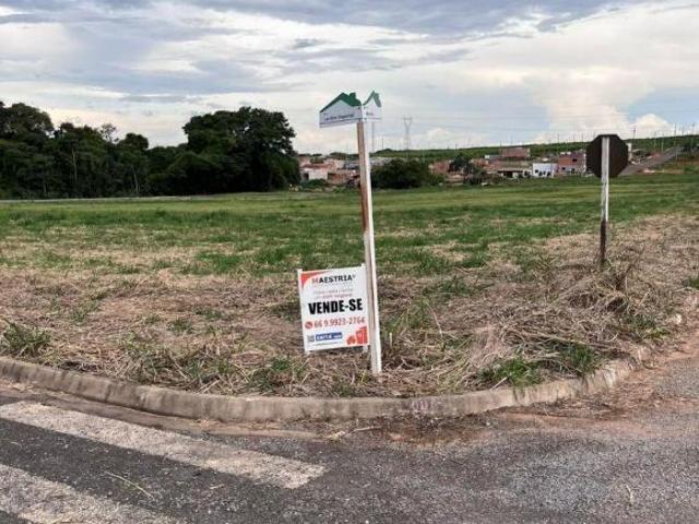 Maestria Sua imobiliária de confiança em Sorriso MT