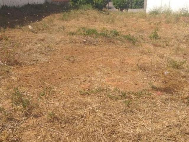 Maestria Sua imobiliária de confiança em Sorriso MT