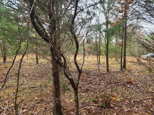 Magic Valley Dr Lot 13, Camden, TN 38320