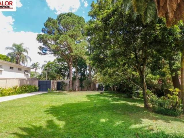 Magnífica casa recém reformada, com iluminação natural e espaços amplos, localizada em uma rua arbor