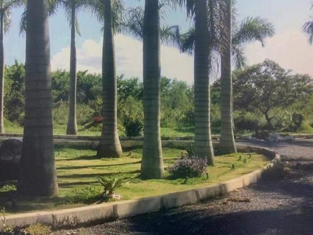 MAGNÍFICA CHÁCARA no cerrado do Planalto Central
