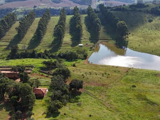 MAGNÍFICA FAZENDA A VENDA NA REGIÃO DE BOTUCATU SP* ? Antiga Fazenda Cafeeira com Linda Vista