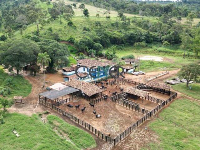 Magnifica fazenda de 315 ha centenária na região de Guanhães MG