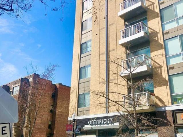 Magnificent Studio Apartment in Lanier Heights Community in Northwest DC!