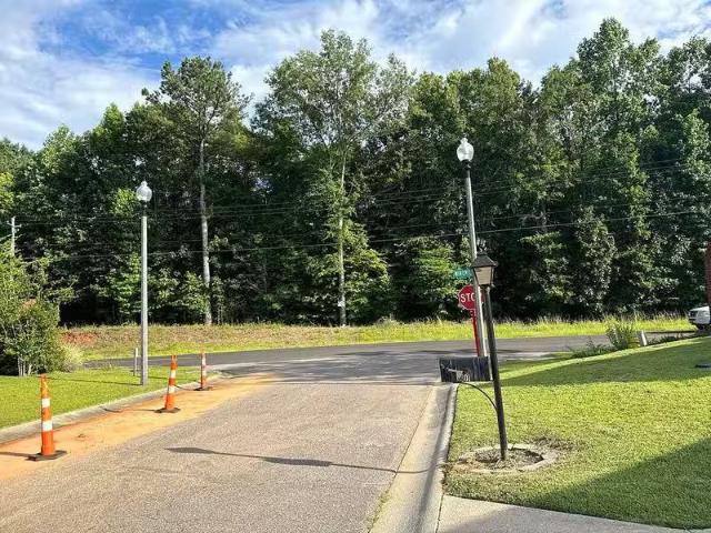 Magnolia, MERIDIAN, MS 39305 649227089
