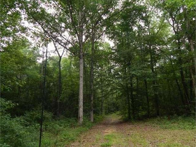 Magnolia, MS Amite Country Land for sale in Jennings, Mississippi
