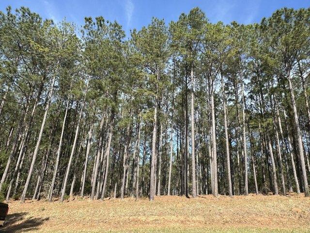 Maiden Cane Way Lot 65, Lincolnton, GA 30817