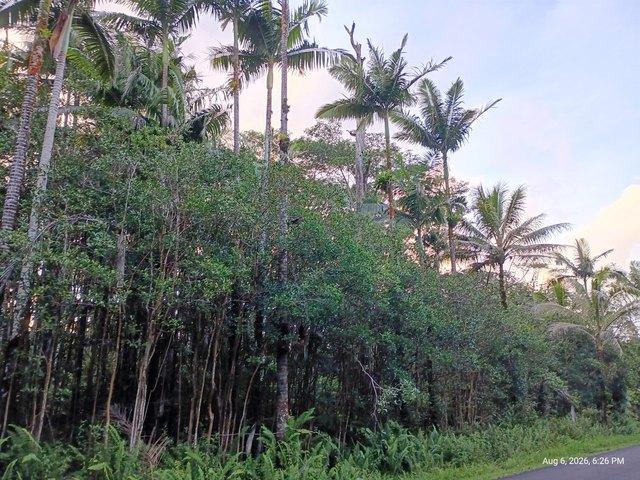 Maile St, Pahoa, HI 96778