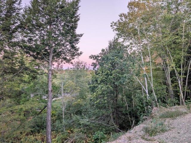 Main /l Rd Lot M, Abbot, Plot For Sale