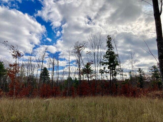 Main Rd, Burlington, Plot For Sale