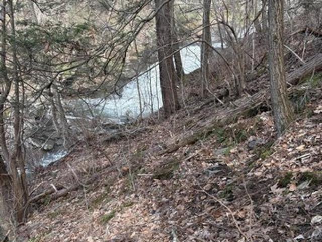 Main Rd, Hunlock Creek, PA 18621