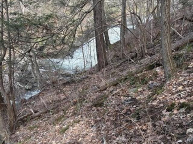 Main Rd, Hunlock Creek, Plot For Sale