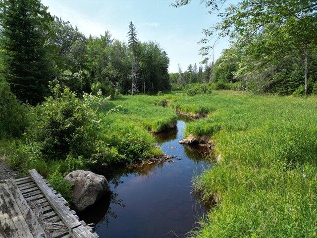 Main Rd Lot,carroll Plt, Plot For Sale