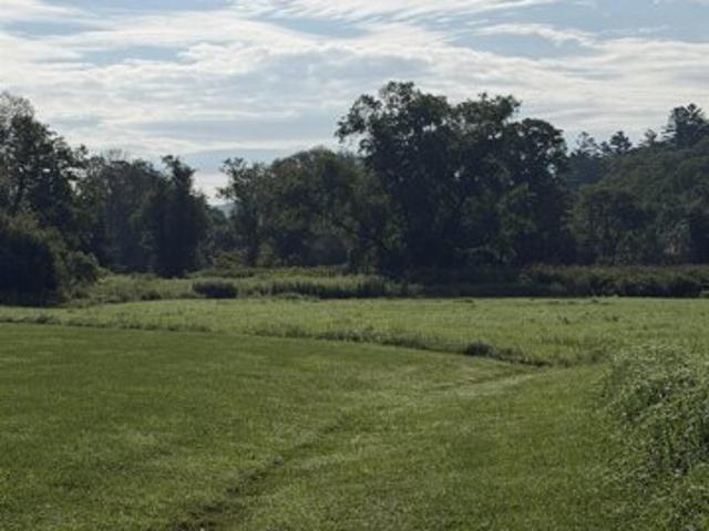 Main St, Cavendish, Plot For Sale