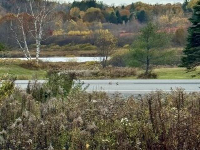 Main St, East Machias, Plot For Sale