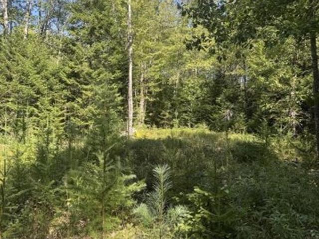 Main St, Harrington, Plot For Sale