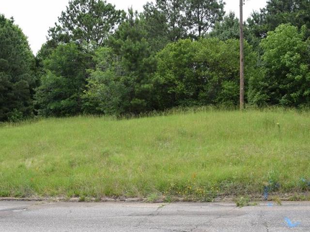 Main St Lot 1, Minden, LA 71055
