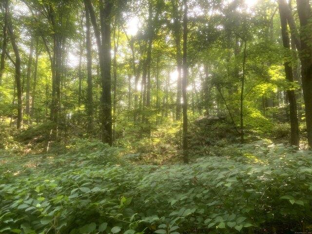 Main St, Trumbull, Plot For Sale