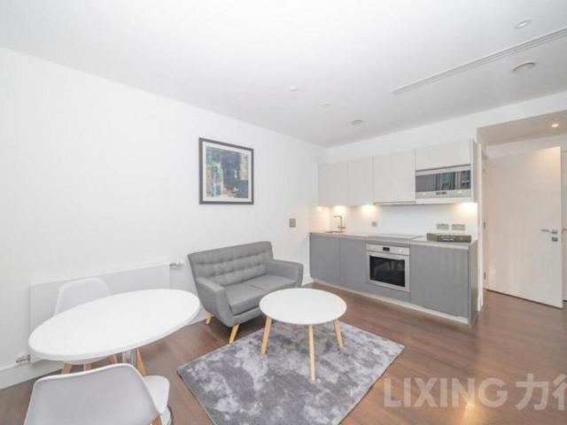 Maine Tower, Harbour Way, South Quay. Studio to rent £2,100 pcm £485 pw