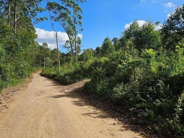 Mairiporã Sítio com 11 Alqueires por R$ 3.300.000 Aceita Imóveis