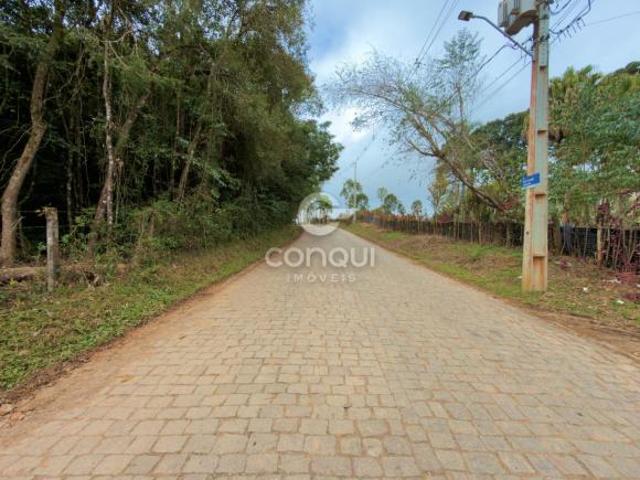 Mais de 12 Hectares de Oportunidades na Colônia Mu