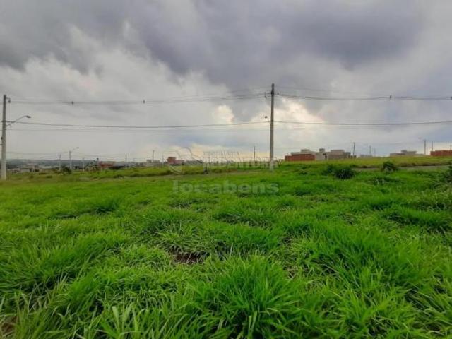 Maisparque Rio Preto Terreno com 201,75 m² nivelado