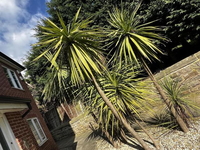 Majestic Court, Darton, Barnsley S75, 2 bed flat to rent, £750 pcm | PrimeLocation