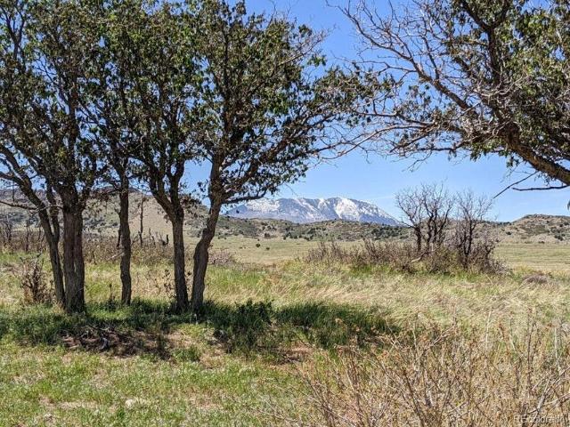 Majors Ranch
