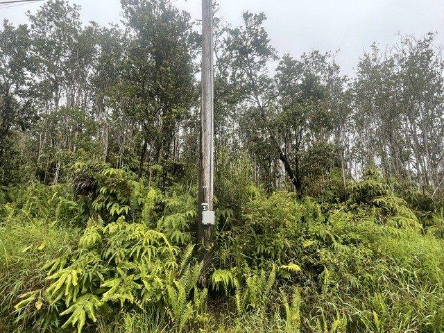 Makoa Rd, Volcano, HI 96785