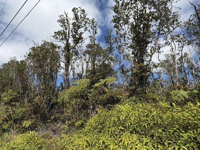 Makoa Rd, Volcano, HI 96785