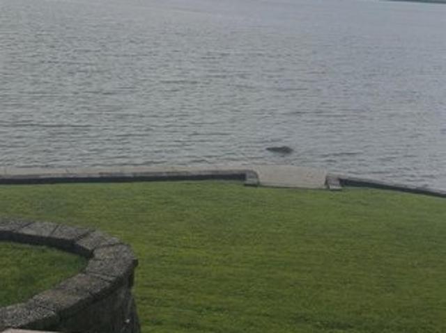 Malta, NY 11357