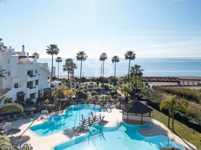 Málaga, Estepona, Selwo Málaga, Estepona, ES, AN