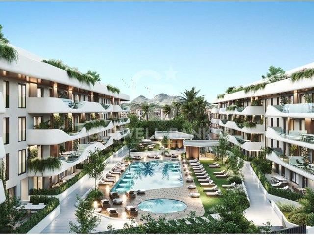 Málaga, Marbella, San Pedro de Alcántara Málaga, Marbella, ES, AN