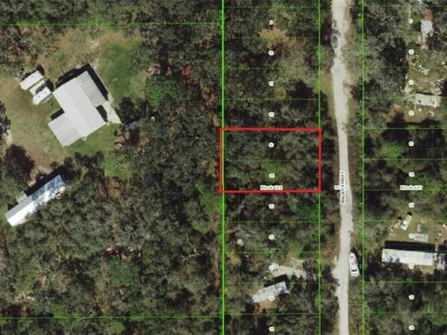 Malati St, New Port Richey, FL 34653