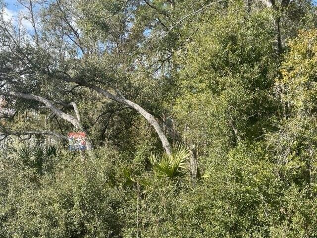 Malauka Cir, Ocklawaha, FL 32179