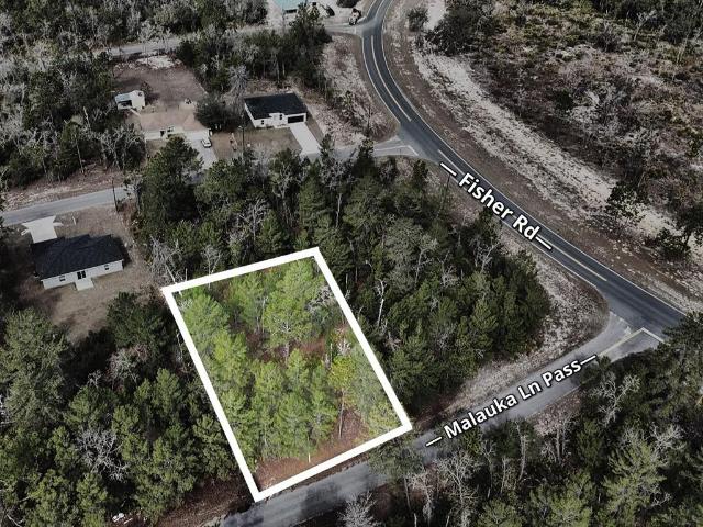 Malauka Lane Pass, Ocklawaha, FL 32179 | MLS #S5143