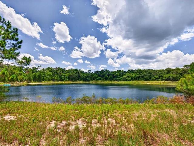 Malauka Loop, Ocklawaha, FL 32179