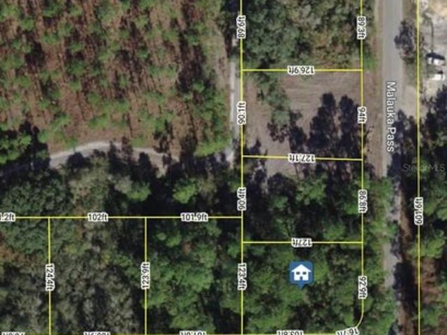 Malauka Pass, Ocklawaha, FL 32179