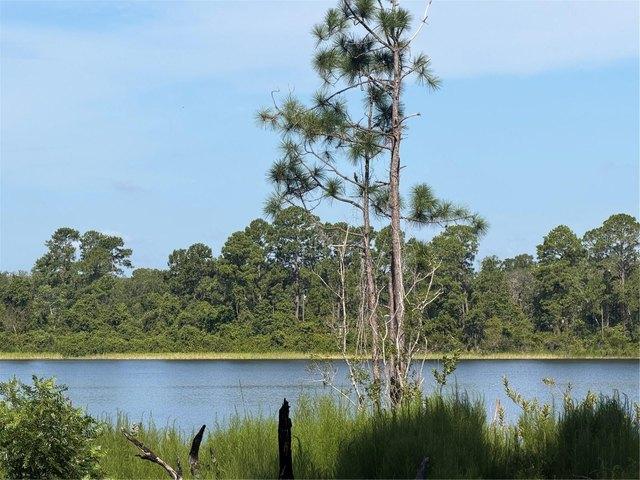 Malauka Radl, Ocklawaha, FL 32179