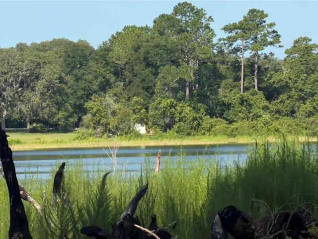Malauka Radl, Ocklawaha, FL 32179
