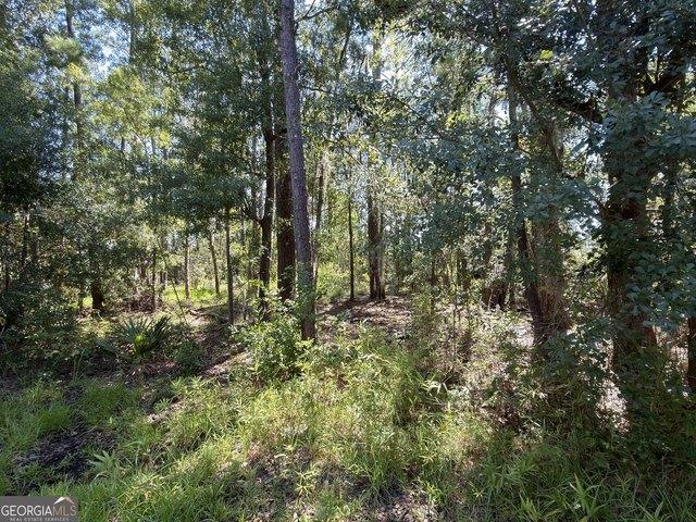 Mallard Pond Rd, Midway, GA 31320
