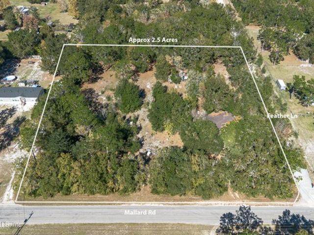 Mallard Rd, Middleburg, FL 32068