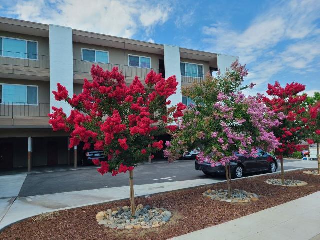 Malone 2 Bedroom Apartment for Rent at 809 Malone Rd, San Jose, CA 95125 Willow Glen