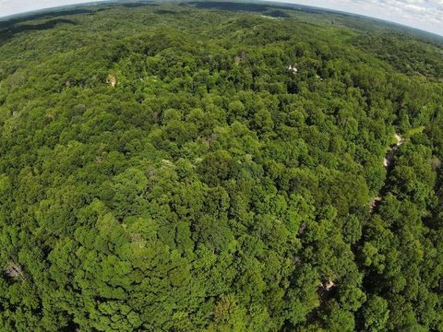 Malone Rd, Wilkesville, OH 45695