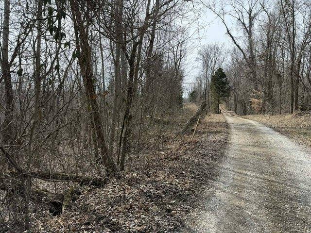 Malone Ridge Rd, Albany, KY 42602